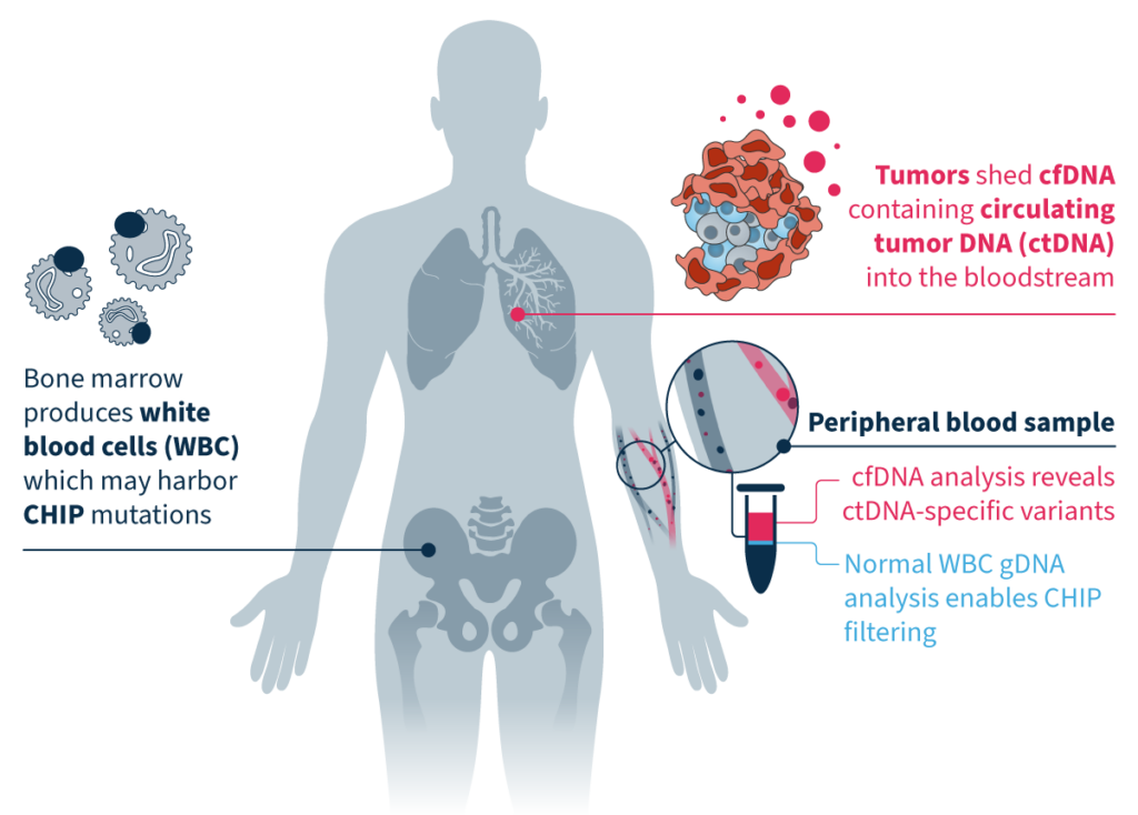 MSK Access - SOPHiA GENETICS